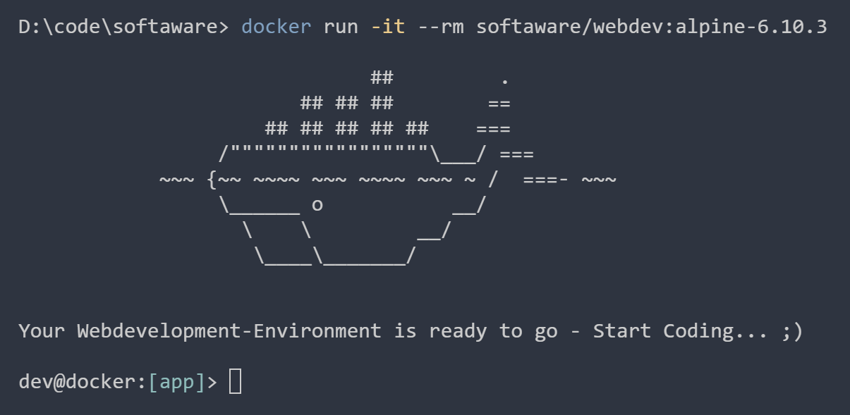 Consistent npm Development Environments using Docker | softaware gmbh